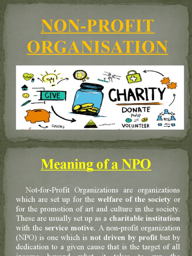 Understanding Non-Profit Organizations | PDF | Nonprofit Organization ...