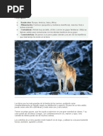 Anexo Lobos | PDF | Piel | Zoología