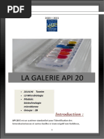 GALERIE API 20E Ensemencement Lecture Et Interprétation | PDF ...