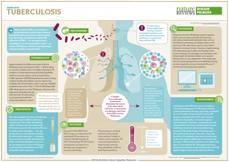 TB Primer | PDF | Tuberculosis | Mycobacterium Tuberculosis