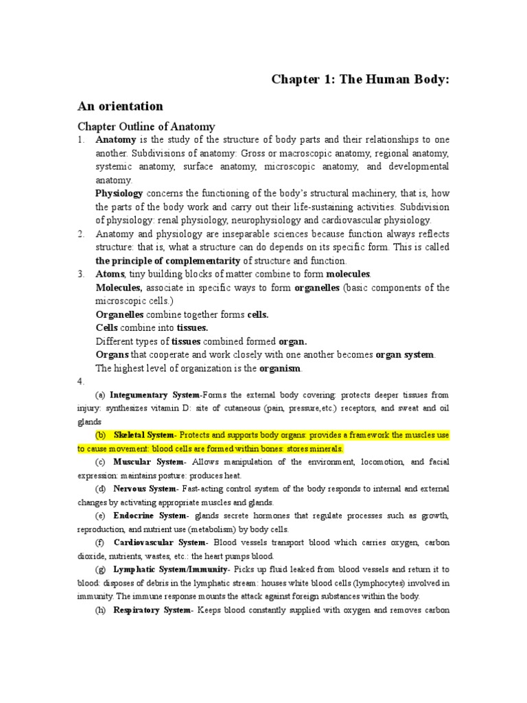 Chapter 1: The Human Body: An Orientation: Chapter Outline of Anatomy ...