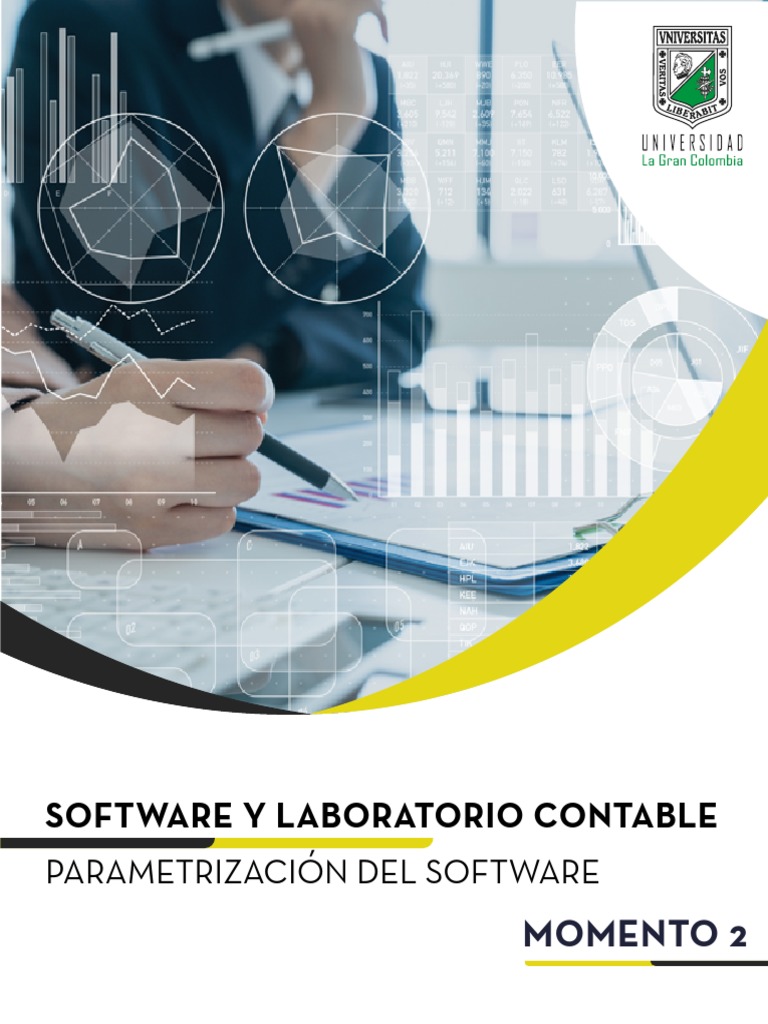 Parametrización de Software Contable | PDF | Contabilidad | Empresas