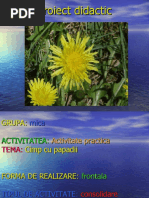 Evaluare Initiala Grupa Mijlocie 2021-2022 | PDF