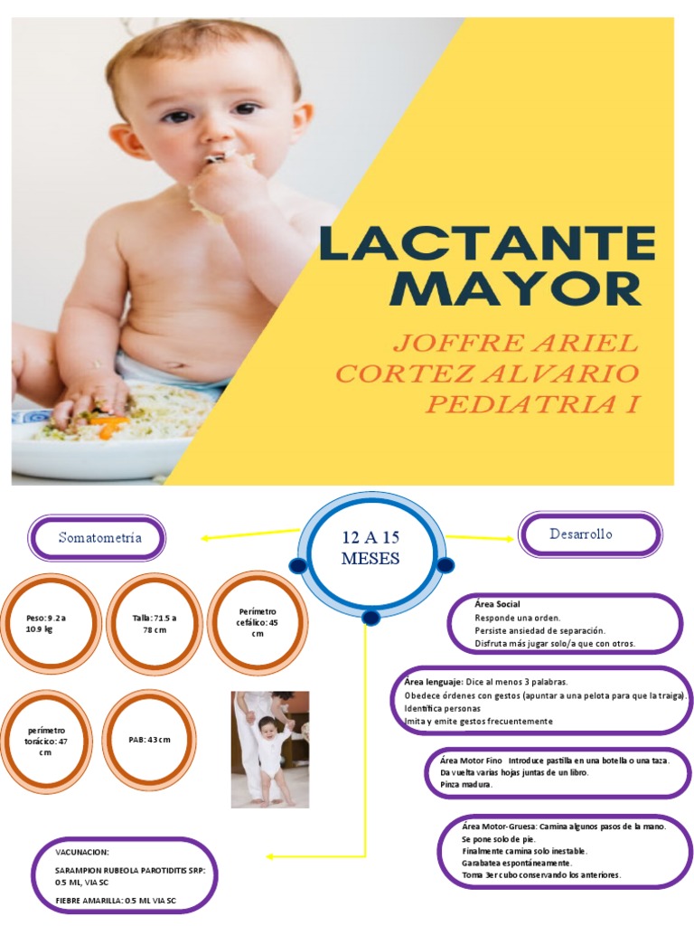 Lactante Mayor | PDF | Bienestar | Medicina