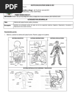 Prueba Unidad 1 Estructura y Funcion de Los Seres Vivos | PDF
