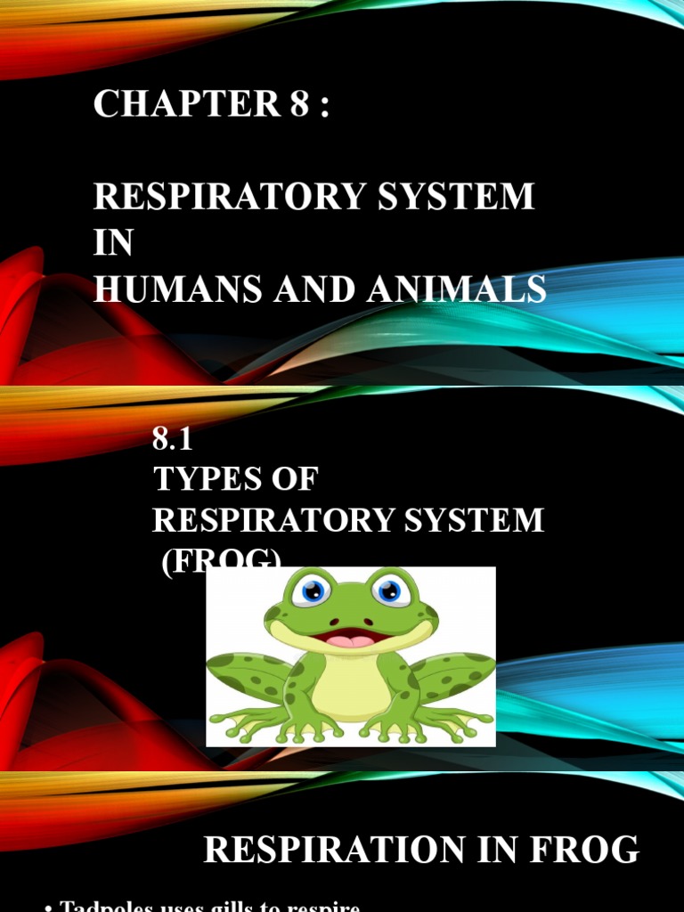BIOLOGY CHAPTER 8 Form 4 | PDF | Respiratory System | Lung