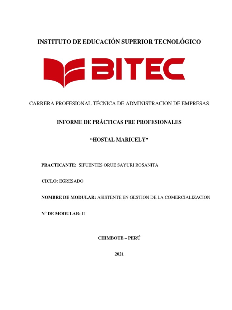 .Informe Prácticas Pre Profesionales II Bitec | PDF | Cliente | Empresas