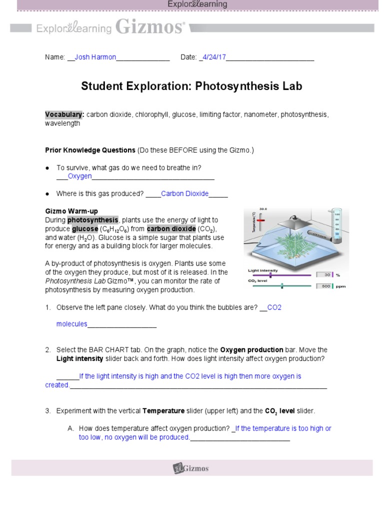 Student Exploration: Photosynthesis Lab: Josh Harmon 4/24/17 | Download ...