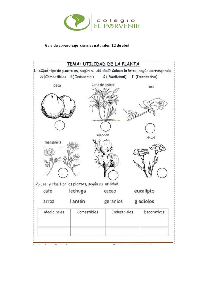 Guía de Aprendizaje Utilidad de Las Plantas Ciencias Naturales 12 de Abril | PDF | Salud y ...