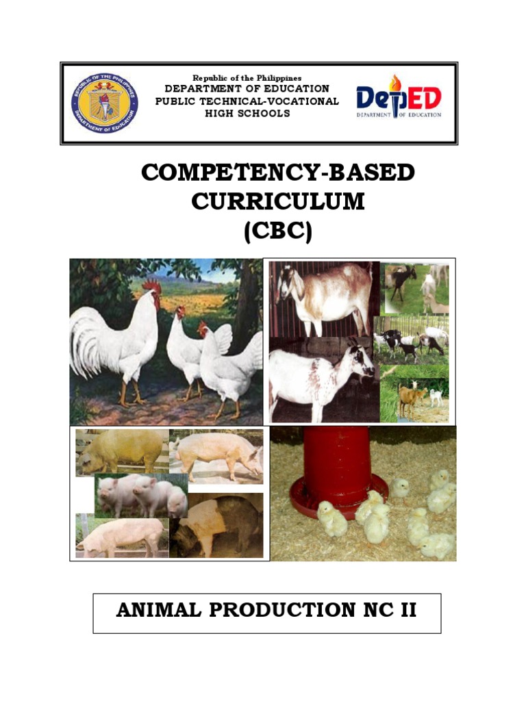 Animal Production CBC | PDF | Domestic Pig | Sheep