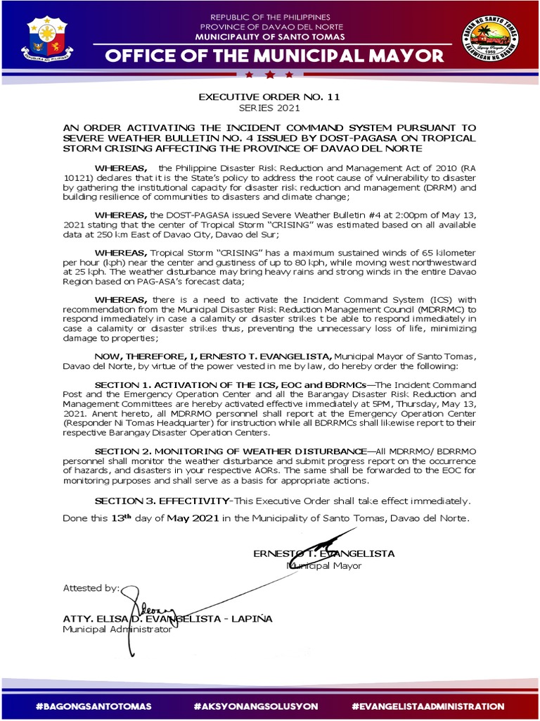 Eo 11 On Ics | PDF | Disaster Risk Reduction | Incident Command System