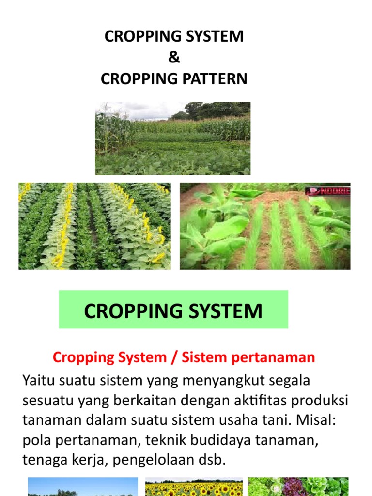 Crooping System Dan Cropping Pattern | PDF