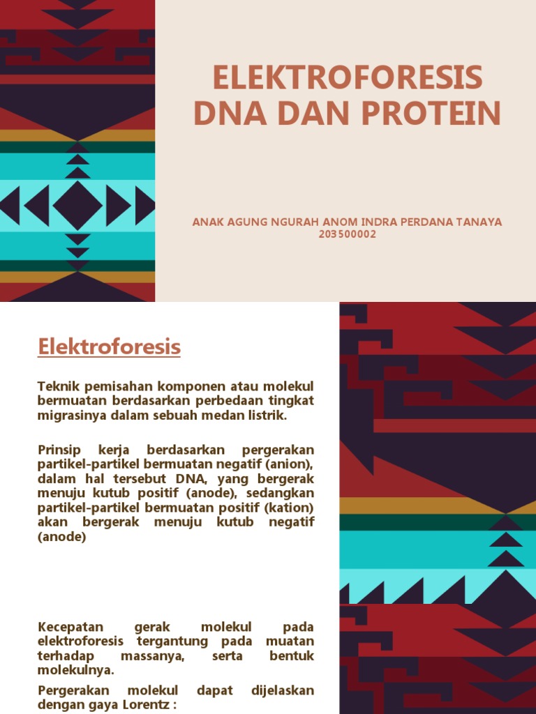 Elektroforesis Dna Dan Protein | PDF