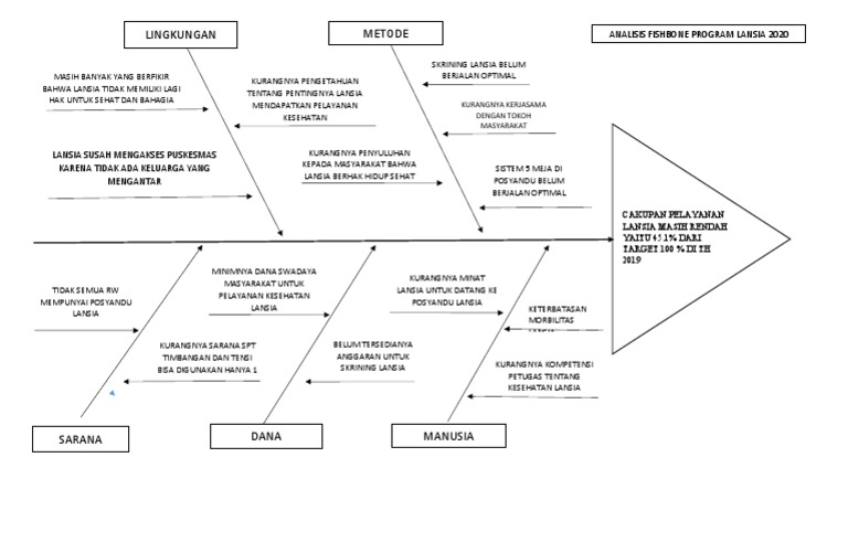 Analisis Fishbone Program Kesehatan Lanjut Usia 2020 | PDF