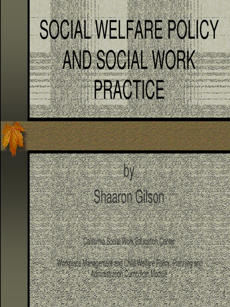 Social Welfare Policy and Social Work Practice: by Shaaron Gilson ...