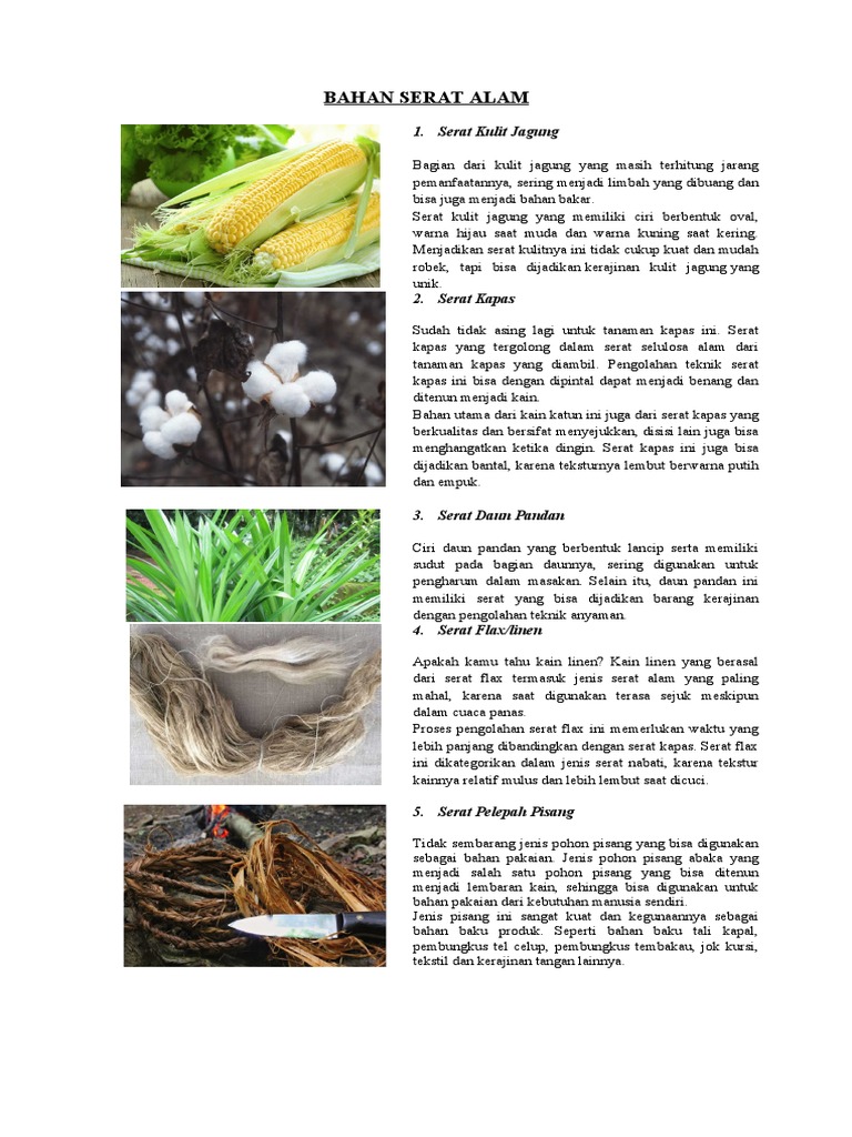 Jenis dan Manfaat Serat Tumbuhan | PDF