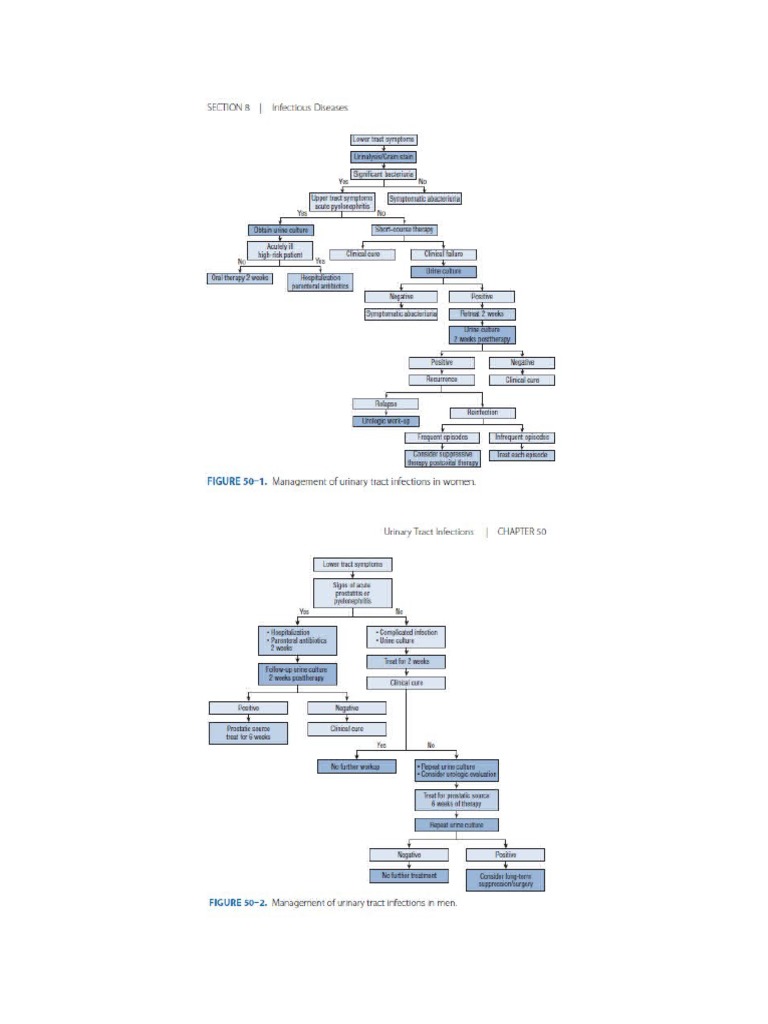 Algoritma Isk | PDF