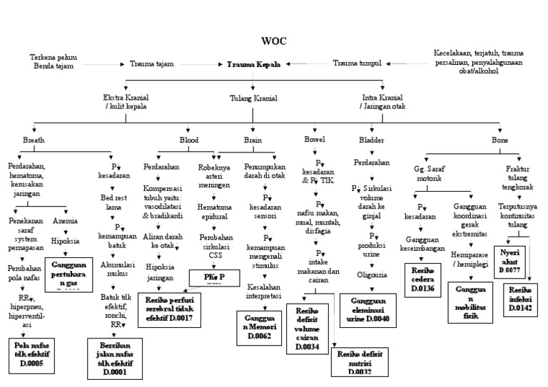 Patofisiologi Trauma Kepala dan WOC | PDF