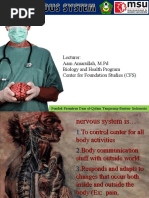 Class 5-Science Notes-The Nervous System | PDF | Brain | Nerve