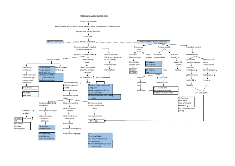 Patoflow Tumor Otak | PDF