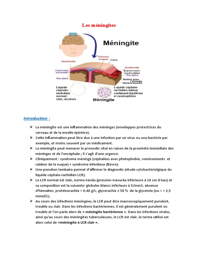 Méningite | PDF | Méningite | Liquide cérébro-spinal