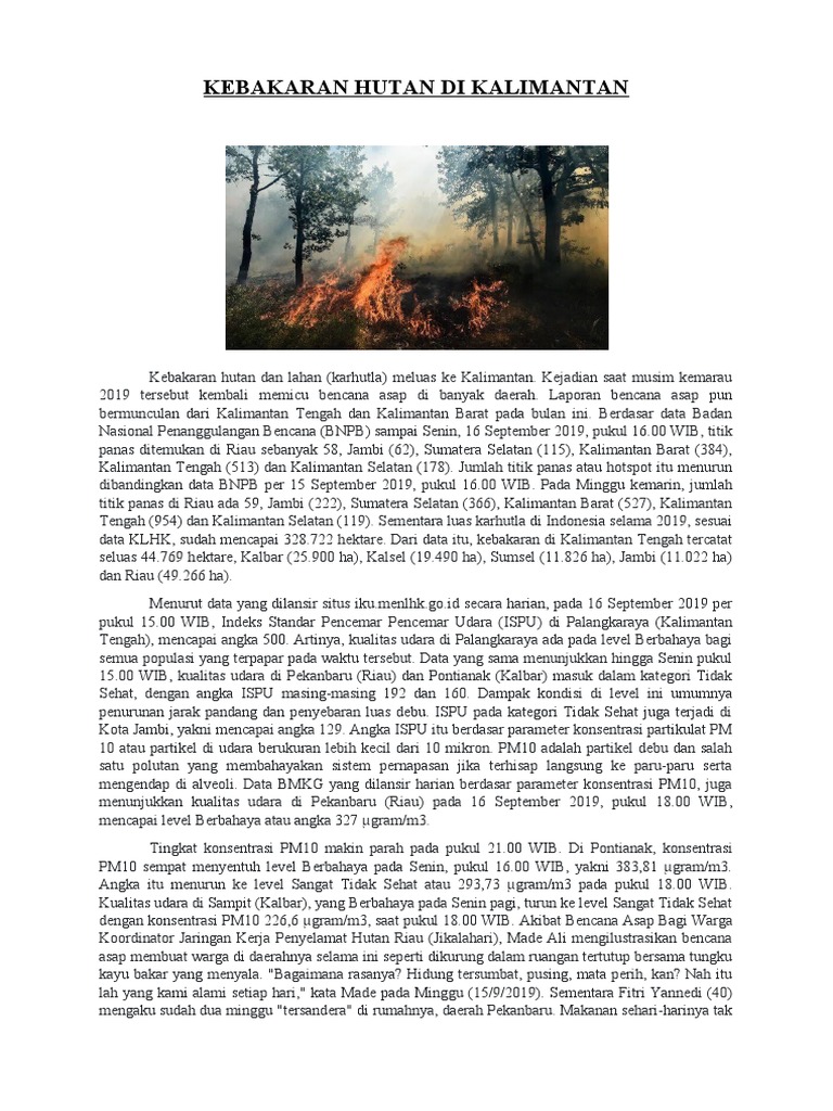 Kebakaran Hutan Di Kalimantan | PDF