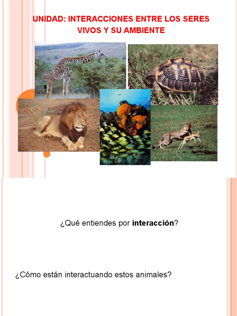 Interacciones entre seres vivos y ambiente | PDF | Parasitismo ...