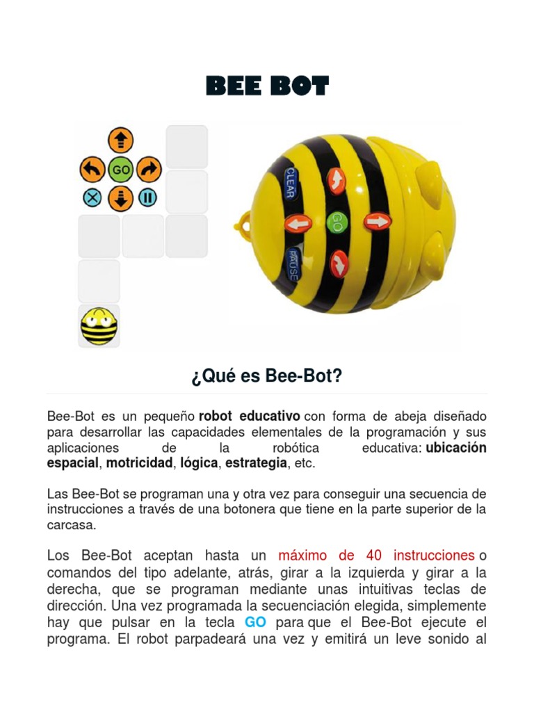 Bee Bot1 | PDF | Informática | Informática y tecnología de la información