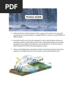 Ploaia Acida | PDF