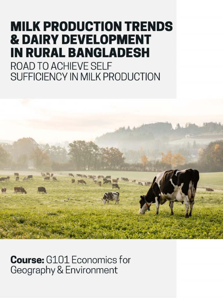 Milk Production Trends in BD | PDF | Dairy Cattle | Dairy Farming