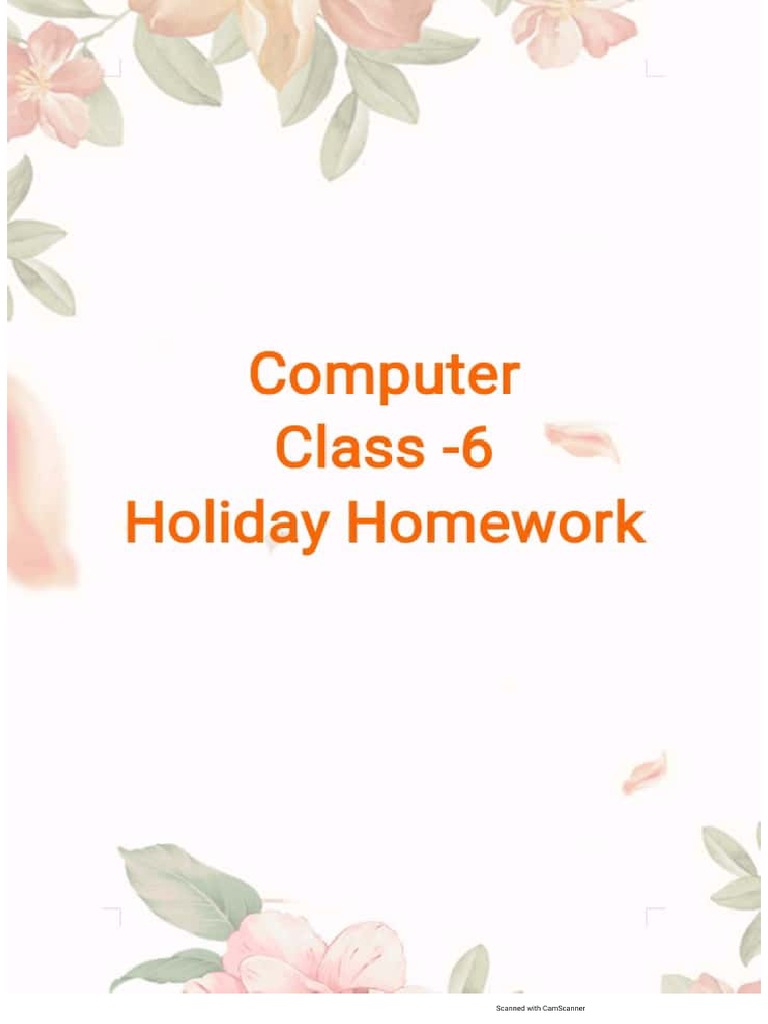 Class 6 Computer Holiday Homework | PDF