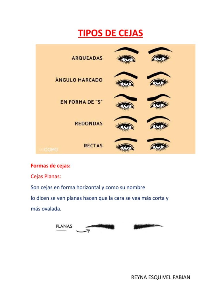Tipos de Cejas según el Rostro | PDF