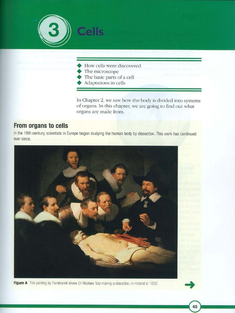 1 Cells Resource | PDF