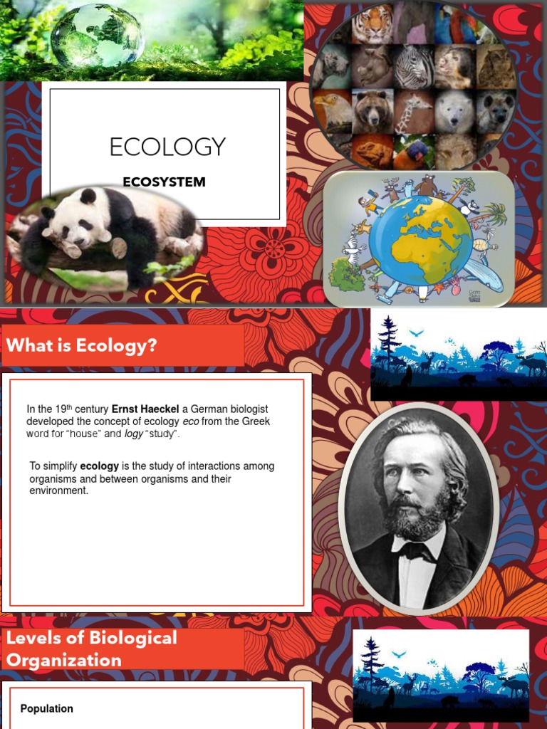 Ecology | PDF | Biodiversity | Ecosystem