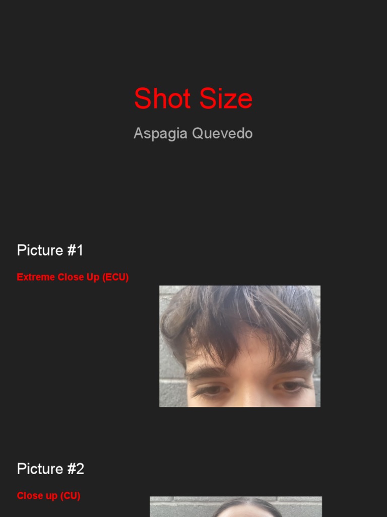Shot Size | PDF