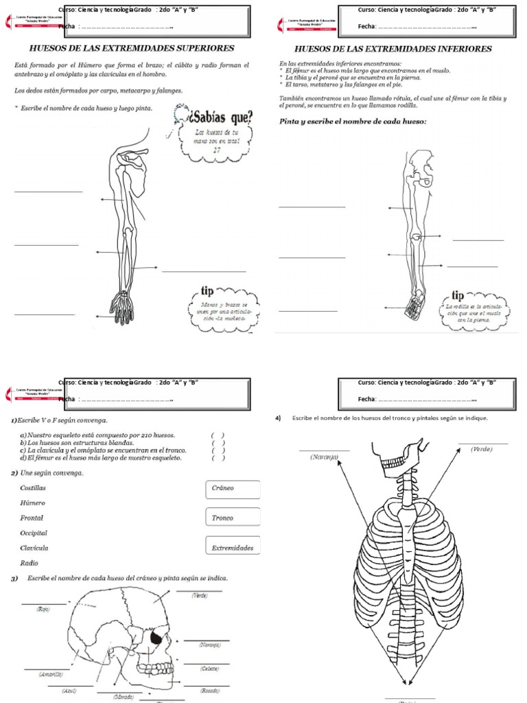 Sadsa | PDF | Métodos y materiales de enseñanza | Tecnología