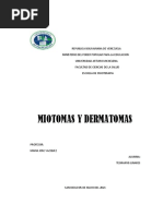Dermatomas y Miotomas | PDF | Nervio | Sistema musculoesquelético