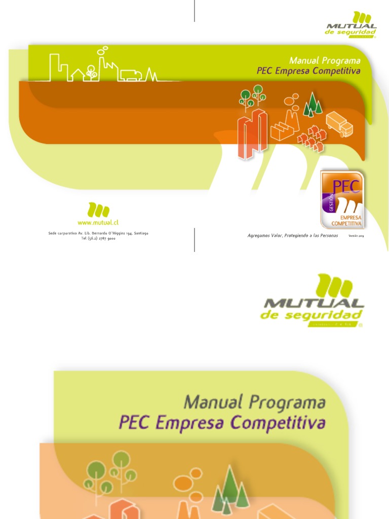 Manual PEC Competitiva | PDF