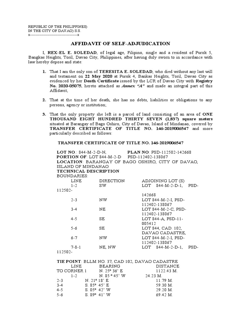 Affidavit of Self Adjudication | PDF | Affidavit | Private Law