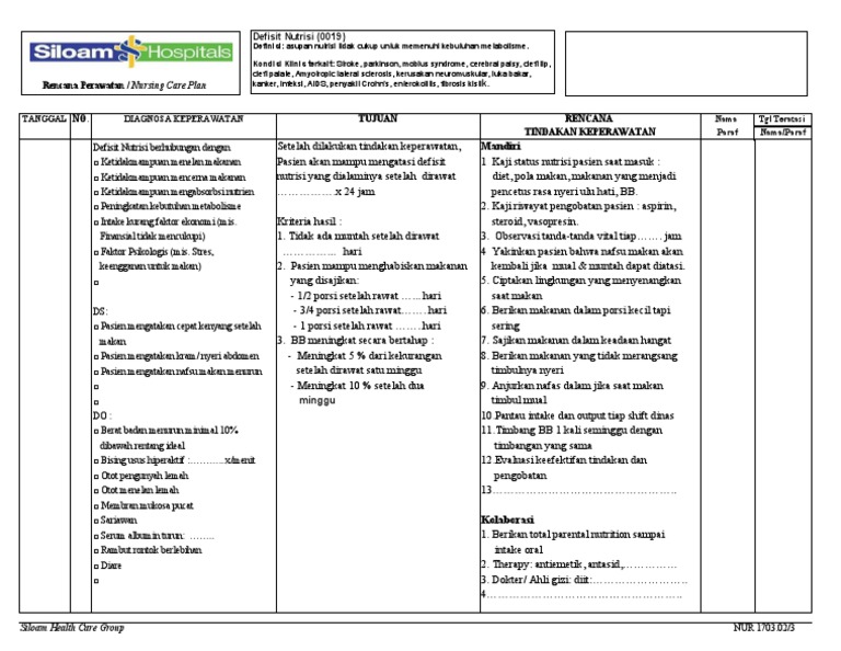 NCP Defisit Nutrisi SDKI | PDF