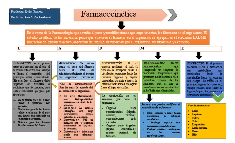 Mapa Conceptual - SOFIA | PDF | Farmacocinética | Medicamentos con receta