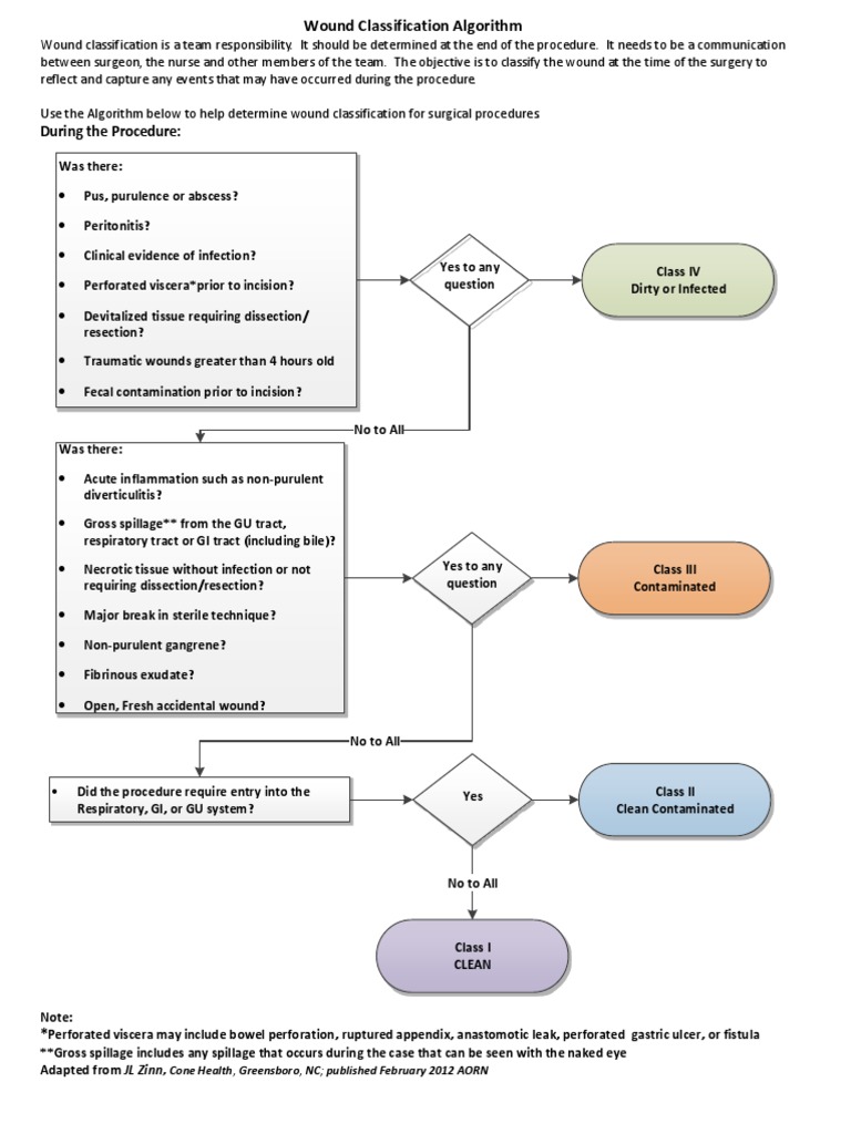 Wound Class Algorithm | Download Free PDF | Surgery | Wound
