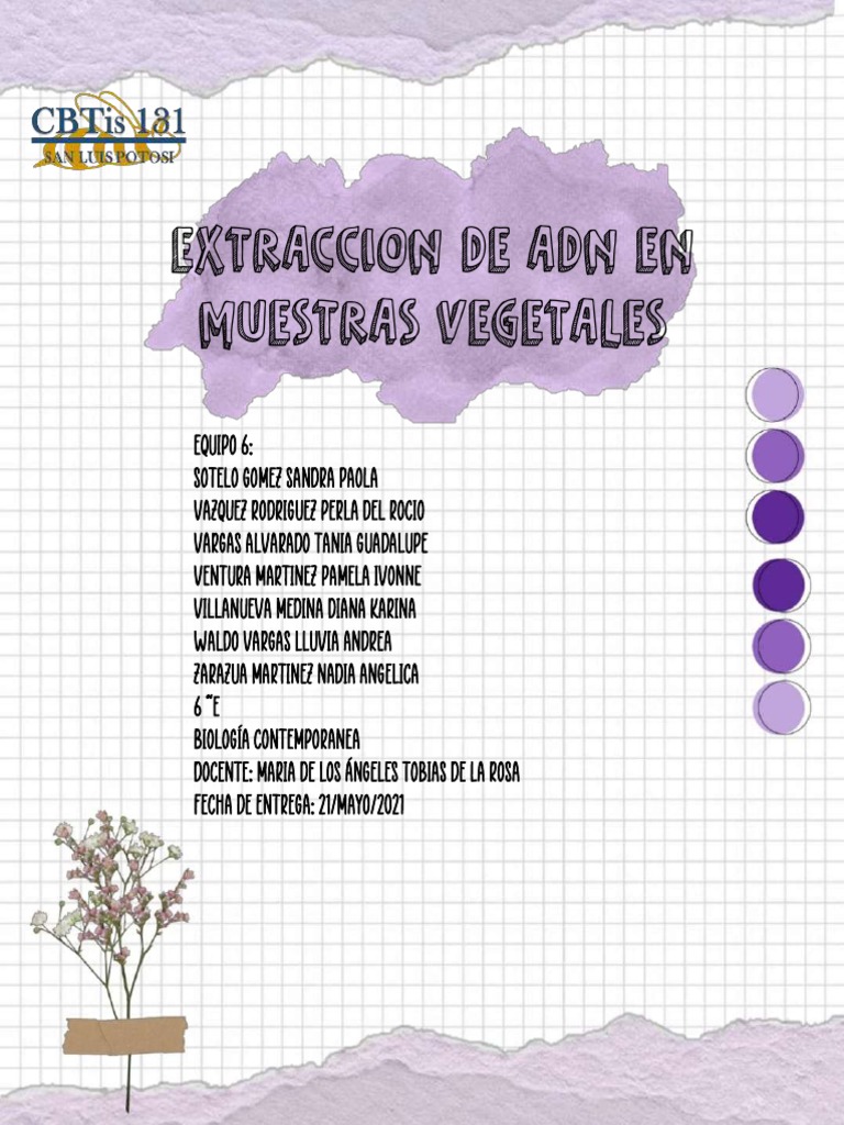 Extracción de Adn Portada | PDF | Ácidos nucleicos | Adn