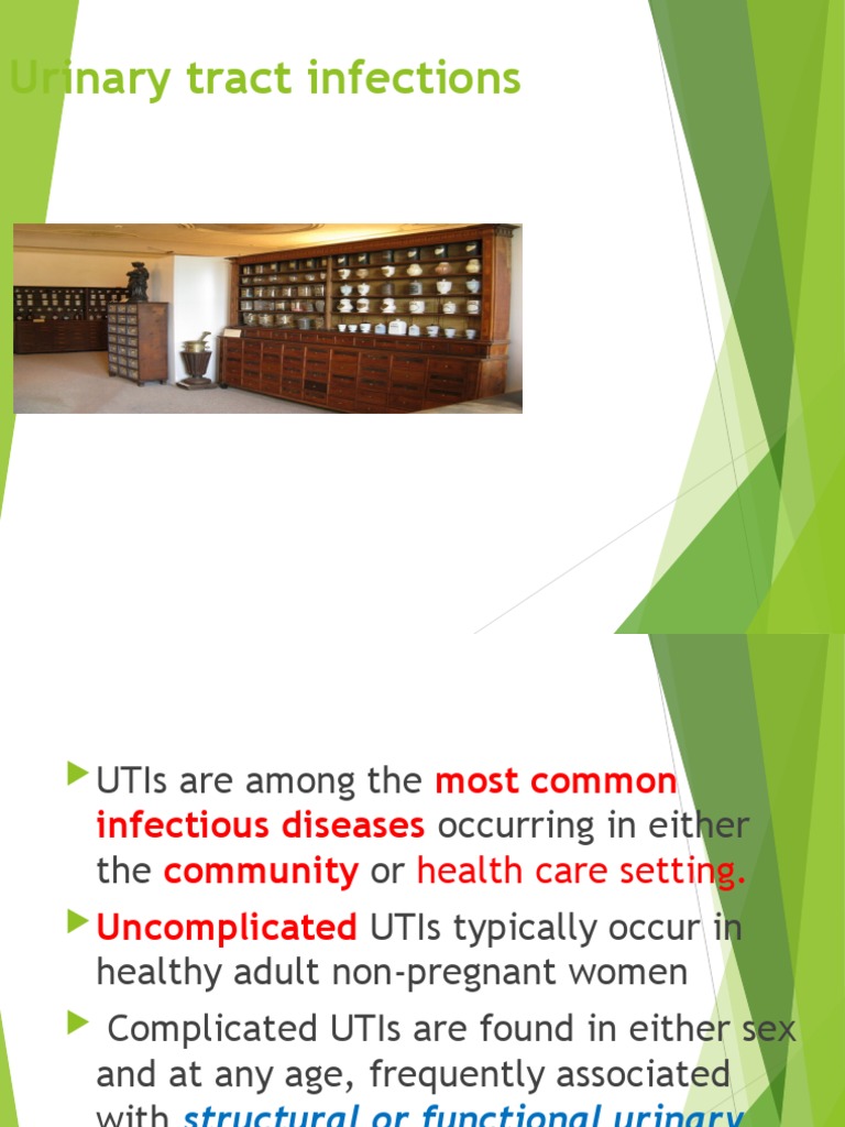A Comprehensive Overview of Urinary Tract Infections: Etiology ...
