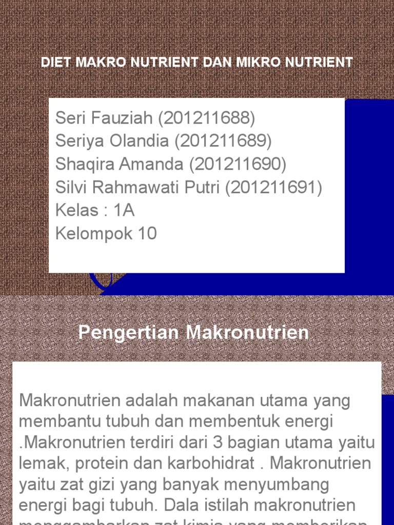 Diet Makro Dan Mikronutrien | PDF