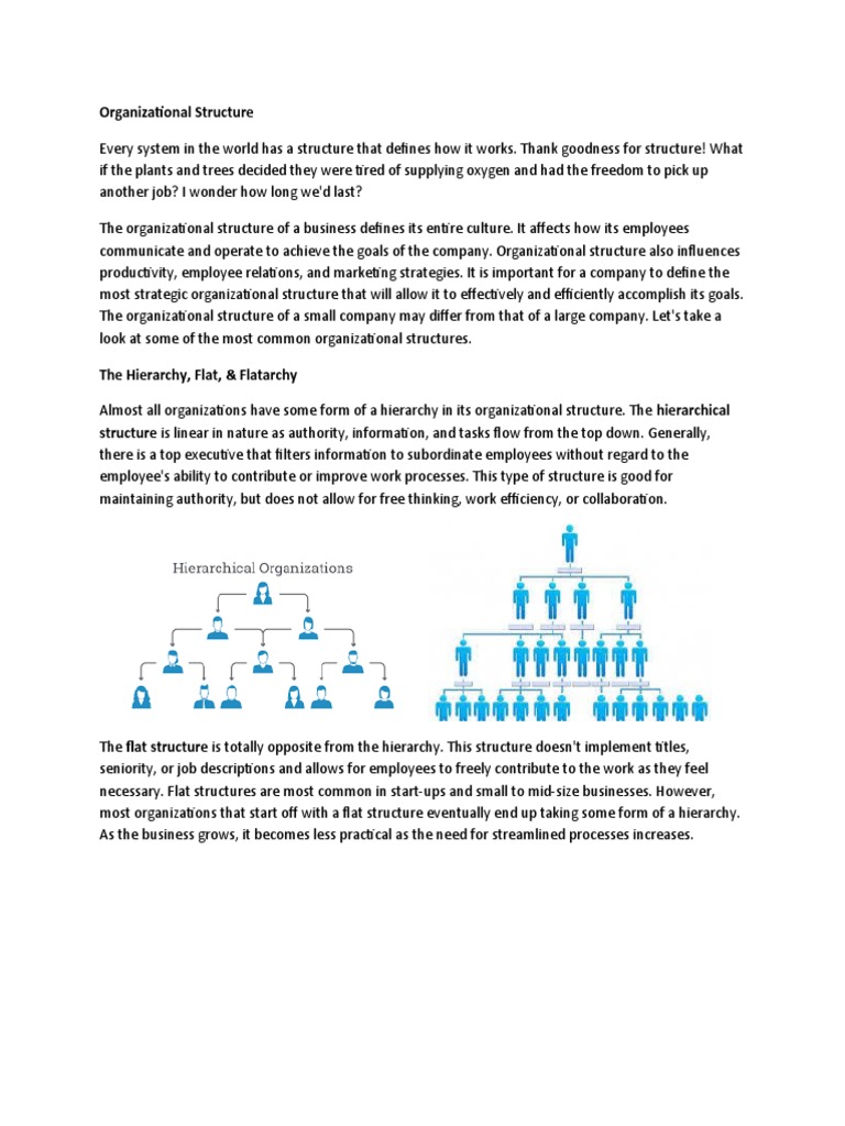 Organizational Structure | PDF | Organizational Structure | Hierarchy