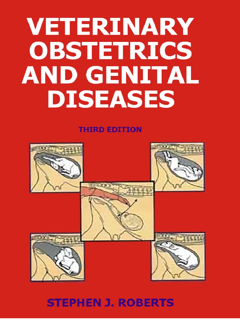 Veterinary Obstetrics and Genital Diseases, 3rd Edition | PDF | Vagina ...