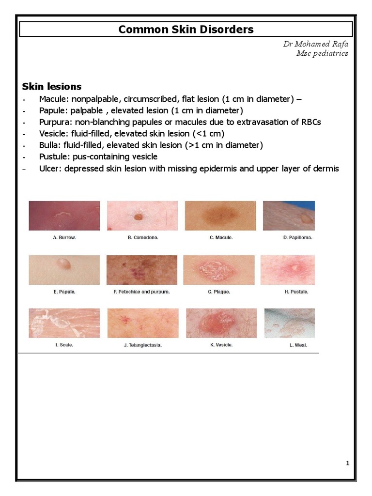 Common Skin Disorders | PDF | Dermatitis | Dermatology
