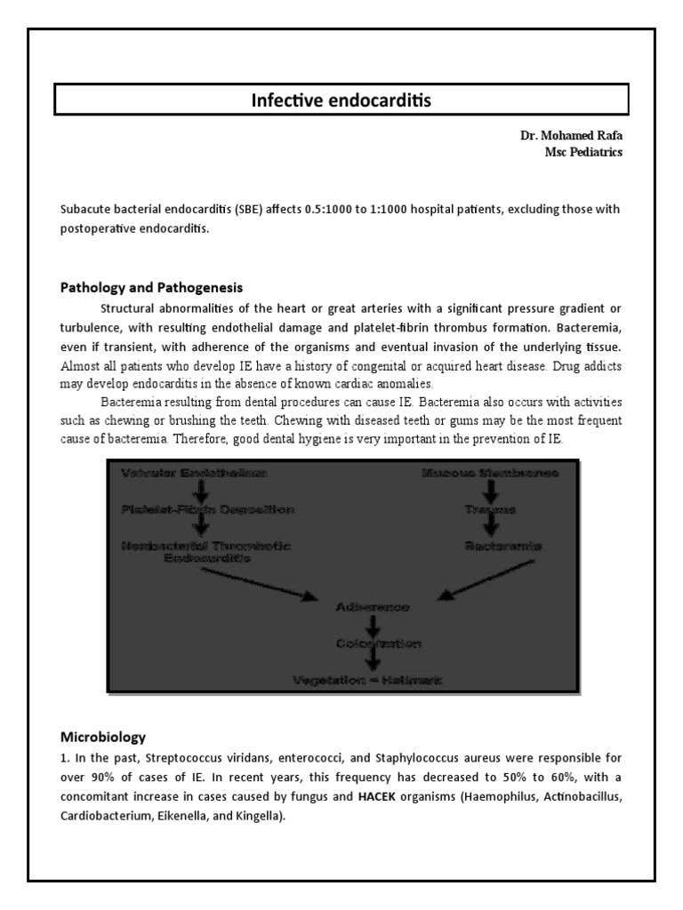 Infective Endocarditis: Pathology and Pathogenesis | PDF | Medical ...