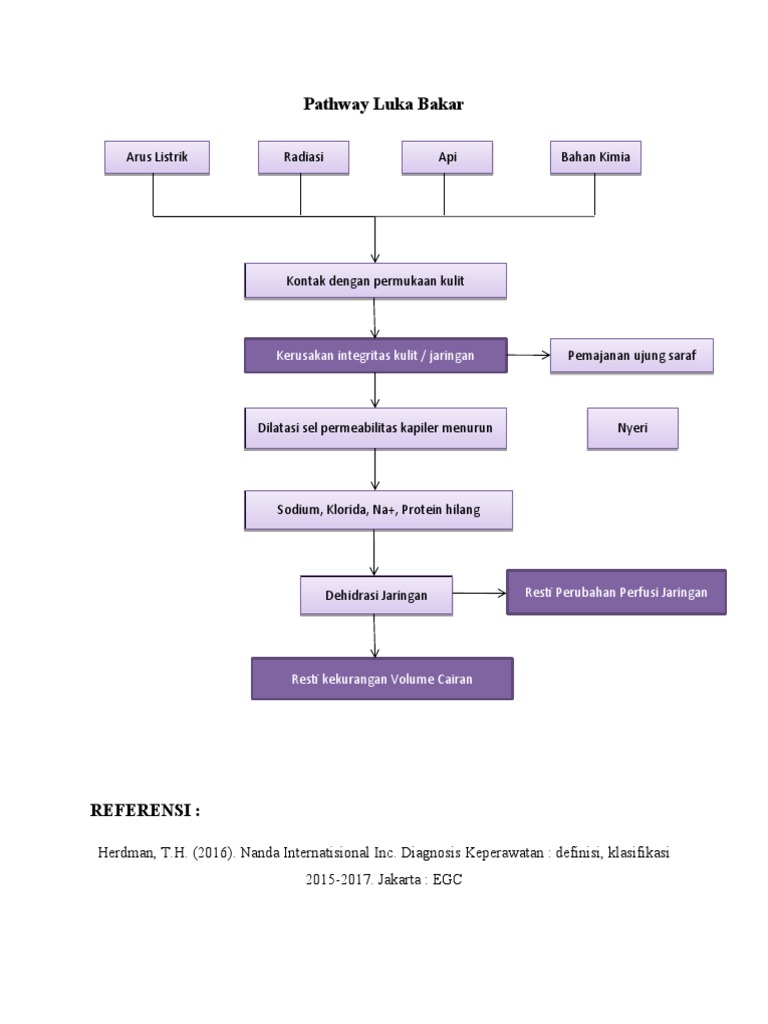 Pathway Luka Bakar - Devi Novitasari - 19.0601.0047 | PDF